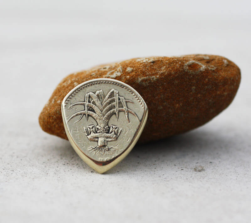 1990 UK Leek 1 Pound Coin Guitar Pick